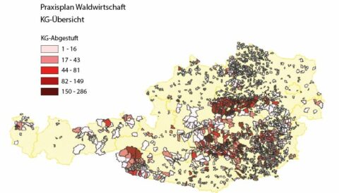 Praxisplan Waldwirtschaft - Waldverband